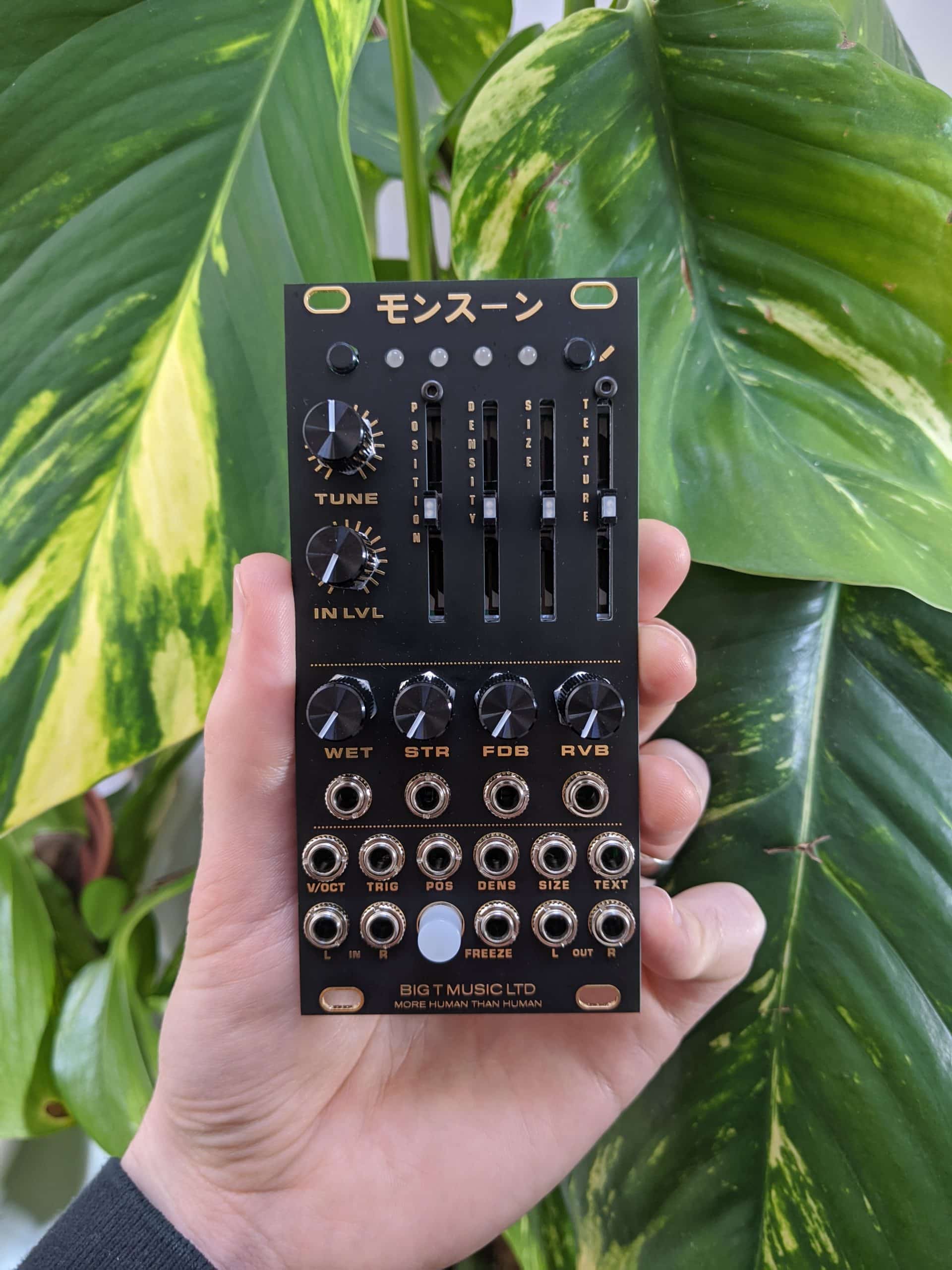 Big T Music Monsoon (Mutable Instruments Clouds) (Black) - Elevator Sound